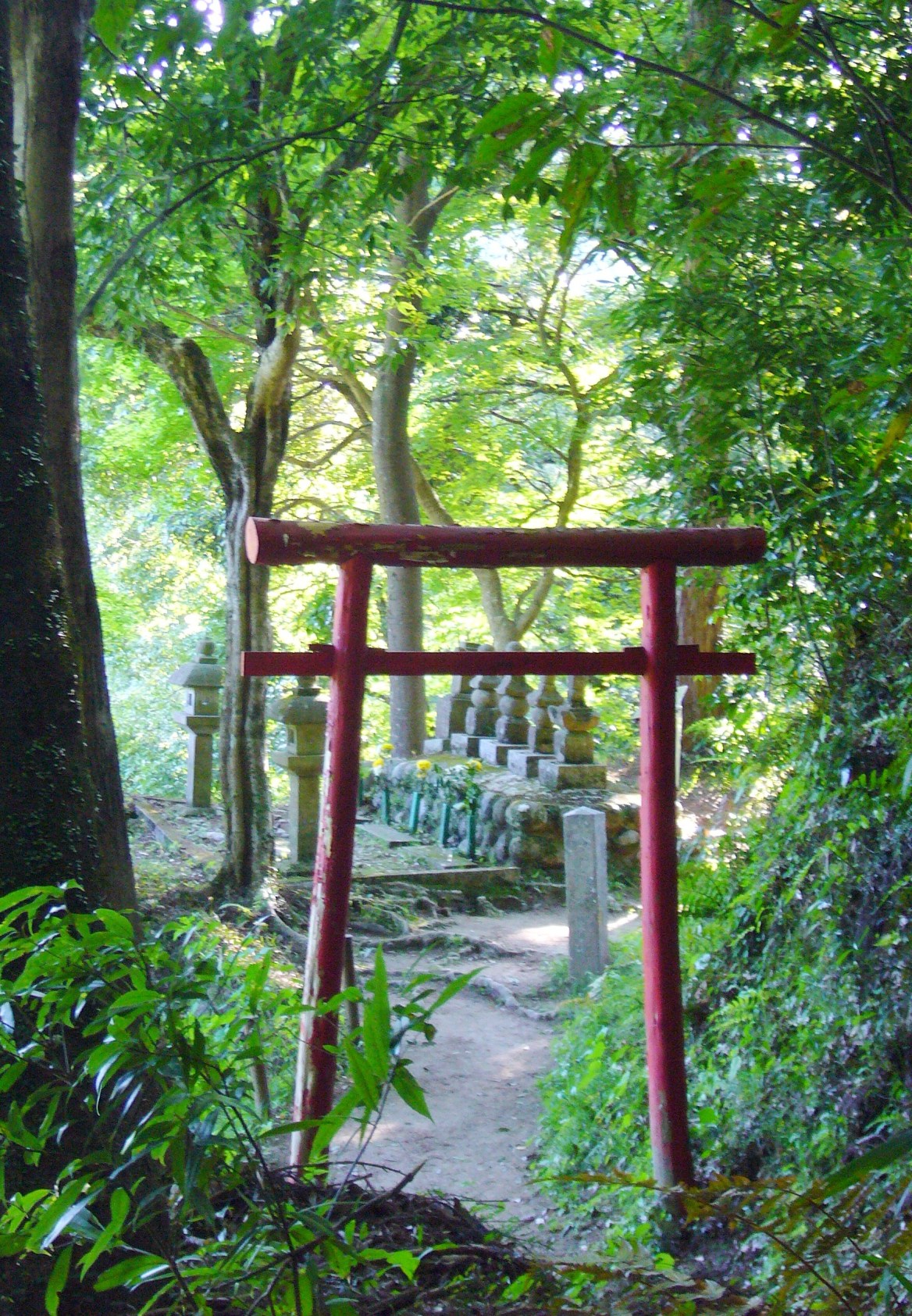 Return of the mukade – The Japans