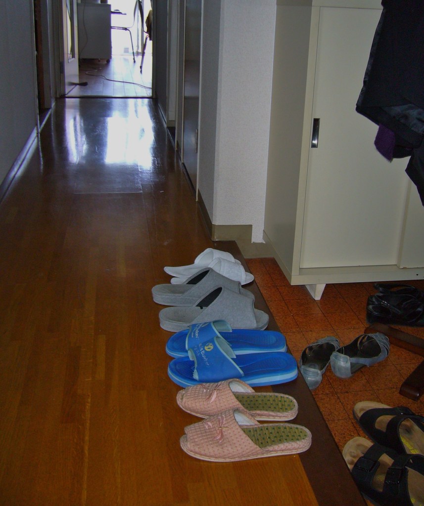 Toilet slippers – The Japans